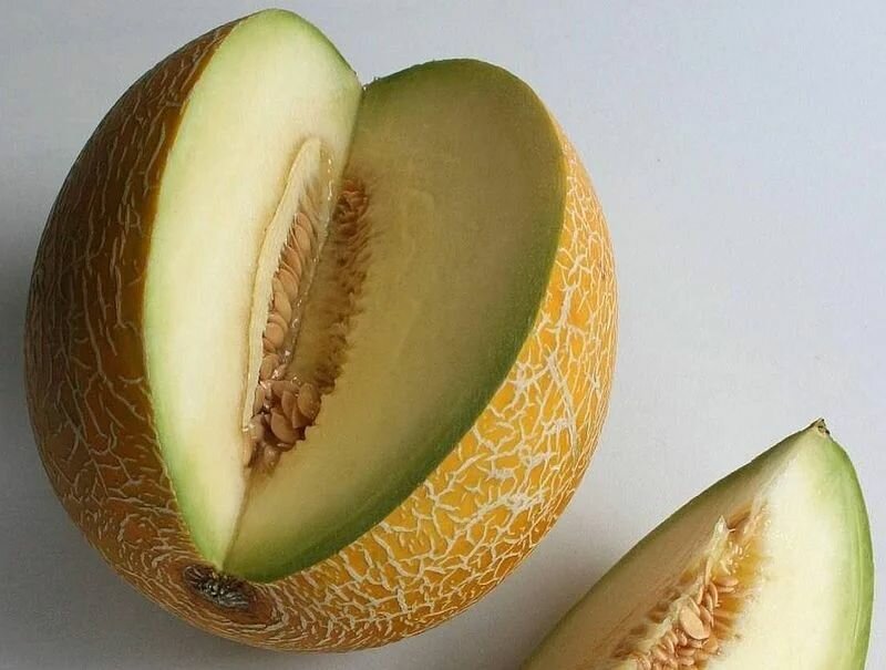 Коллекционные семена дыни Галия