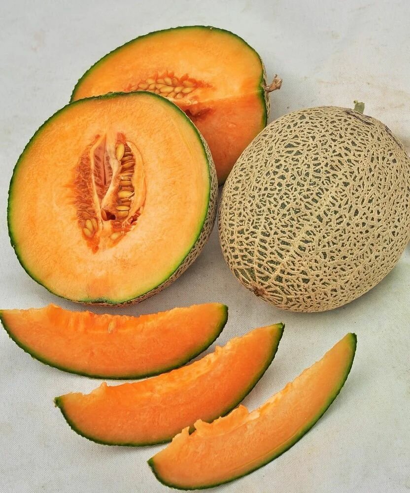 Коллекционные семена дыни F1 Вестерн Шиппер