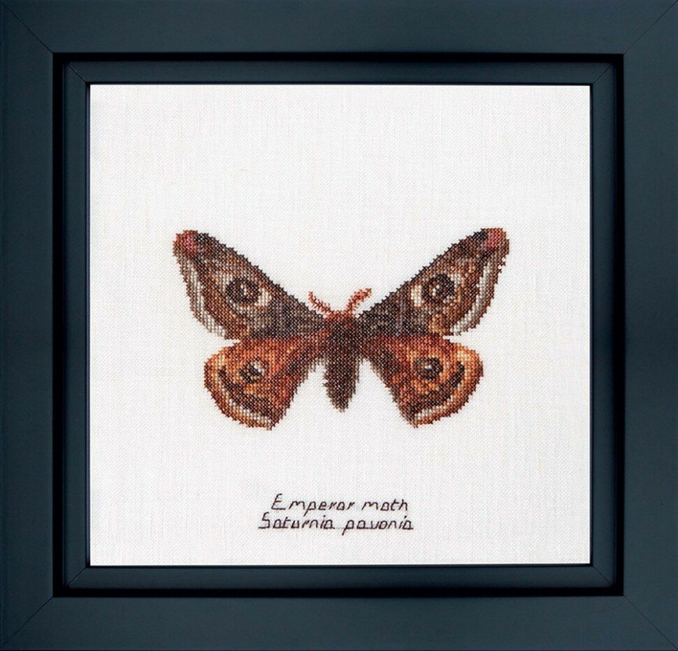 Набор для вышивания Thea Gouverneur #562 Emperor moth (Императорский мотылёк), Счетный крест, 21 х 21 см