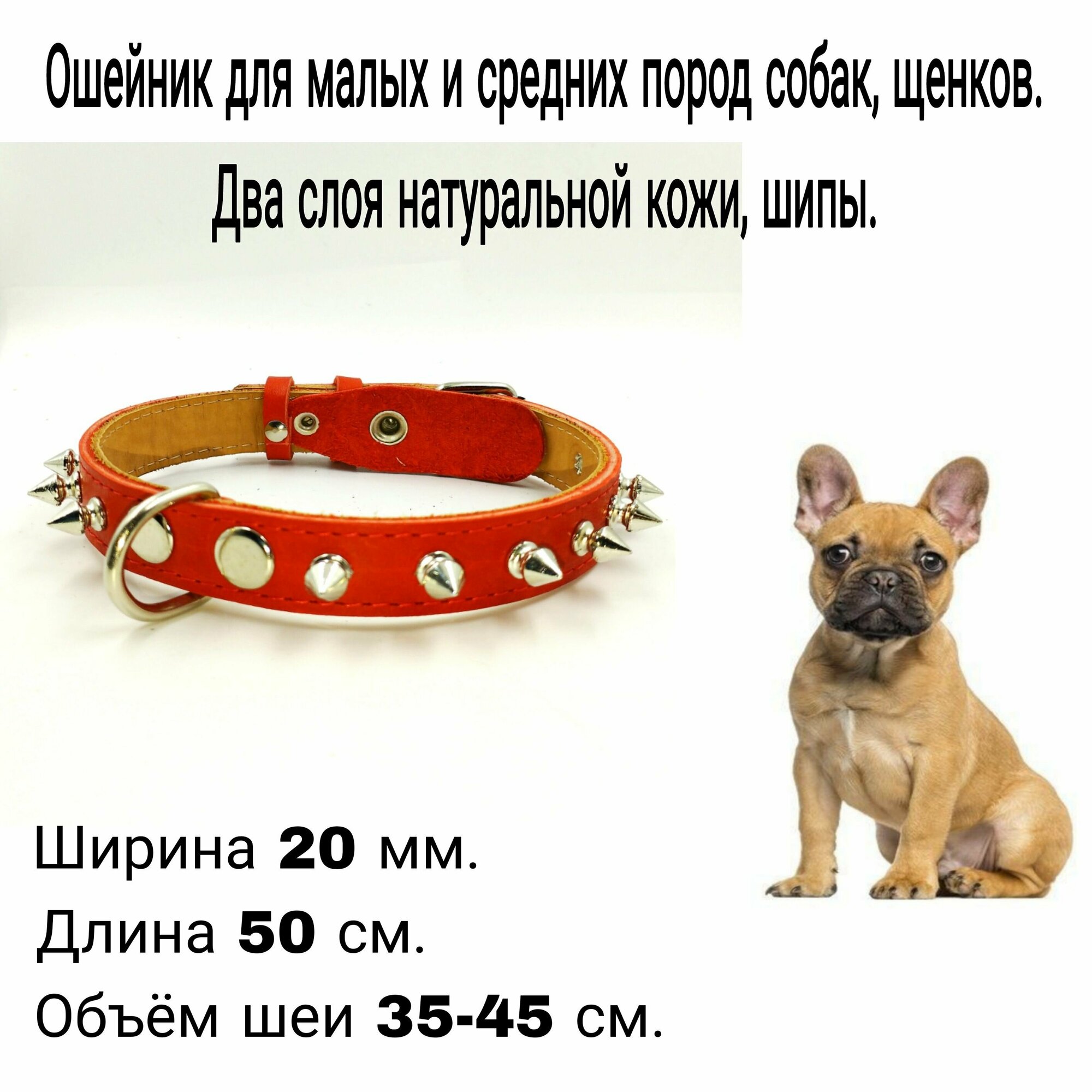 Ошейник из натуральной кожи с шипами для собак малых и средних пород, щенков 20 мм*59 см, объём шеи 35-45 см. Два слоя натуральной кожи.