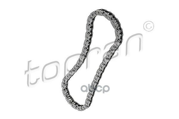 Цепь ГРМ (замена для HP-503265755) topran арт. 503265001