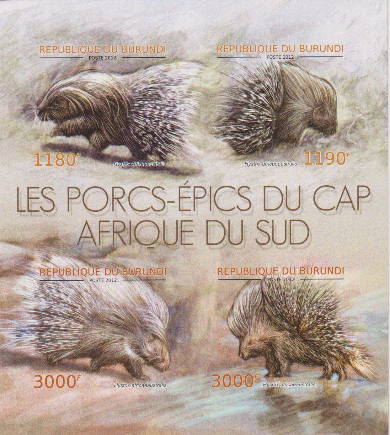 Почтовые марки Бурунди 2012г. "Дикобраз Южной Африки" Фауна MNH