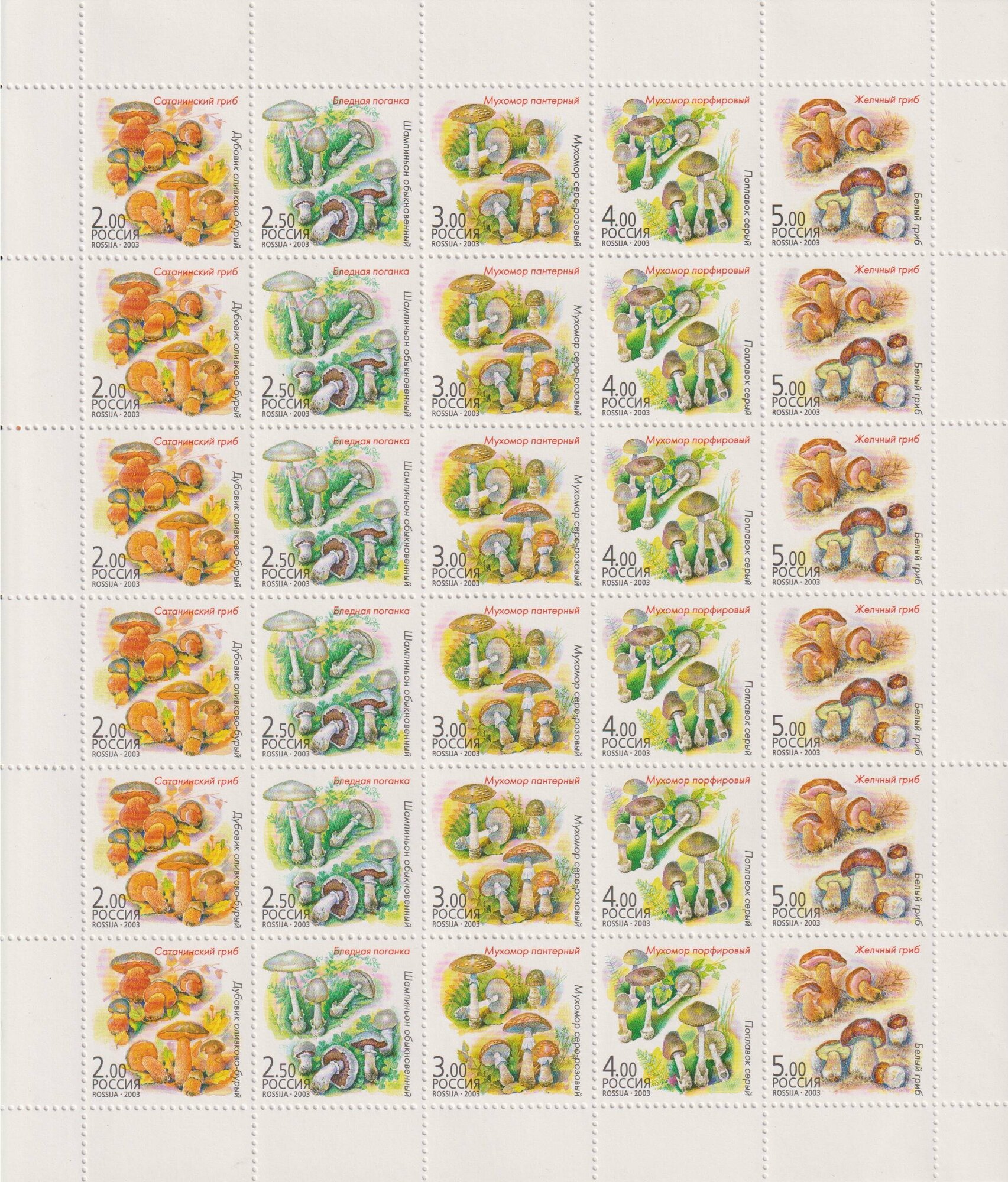 Почтовые марки Россия 2003г. "Грибы-двойники" Грибы MNH