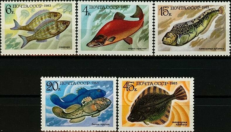 Почтовые марки СССР 1983г. "Рыбы" Рыбы MNH