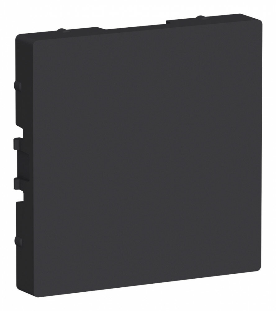 AtlasDesign Карбон Заглушка без суппорта для многопостовых рамок