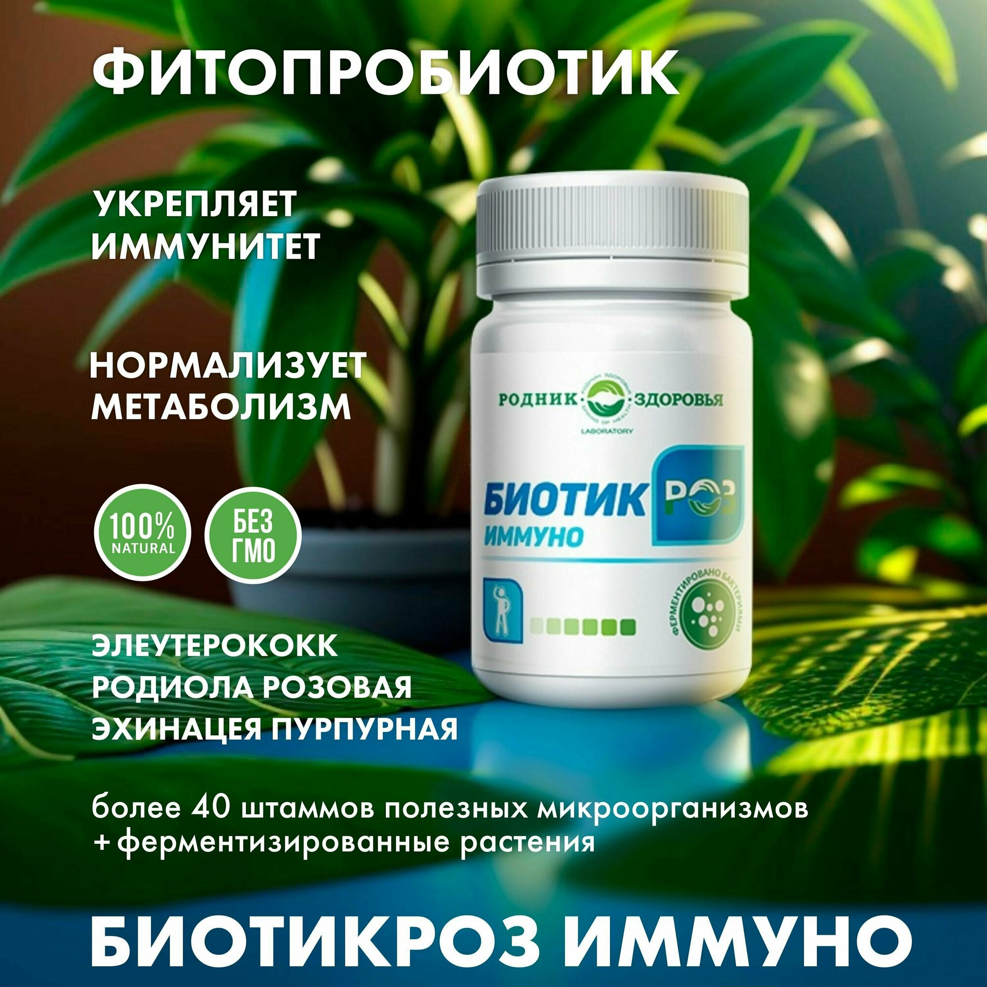 Биотикроз иммуно "Родник здоровья", Фитопробиотик для иммунитета с эхинацеей пурпурной, родиолой розовой и элеутерококком , специализированное питание, 60 таб.
