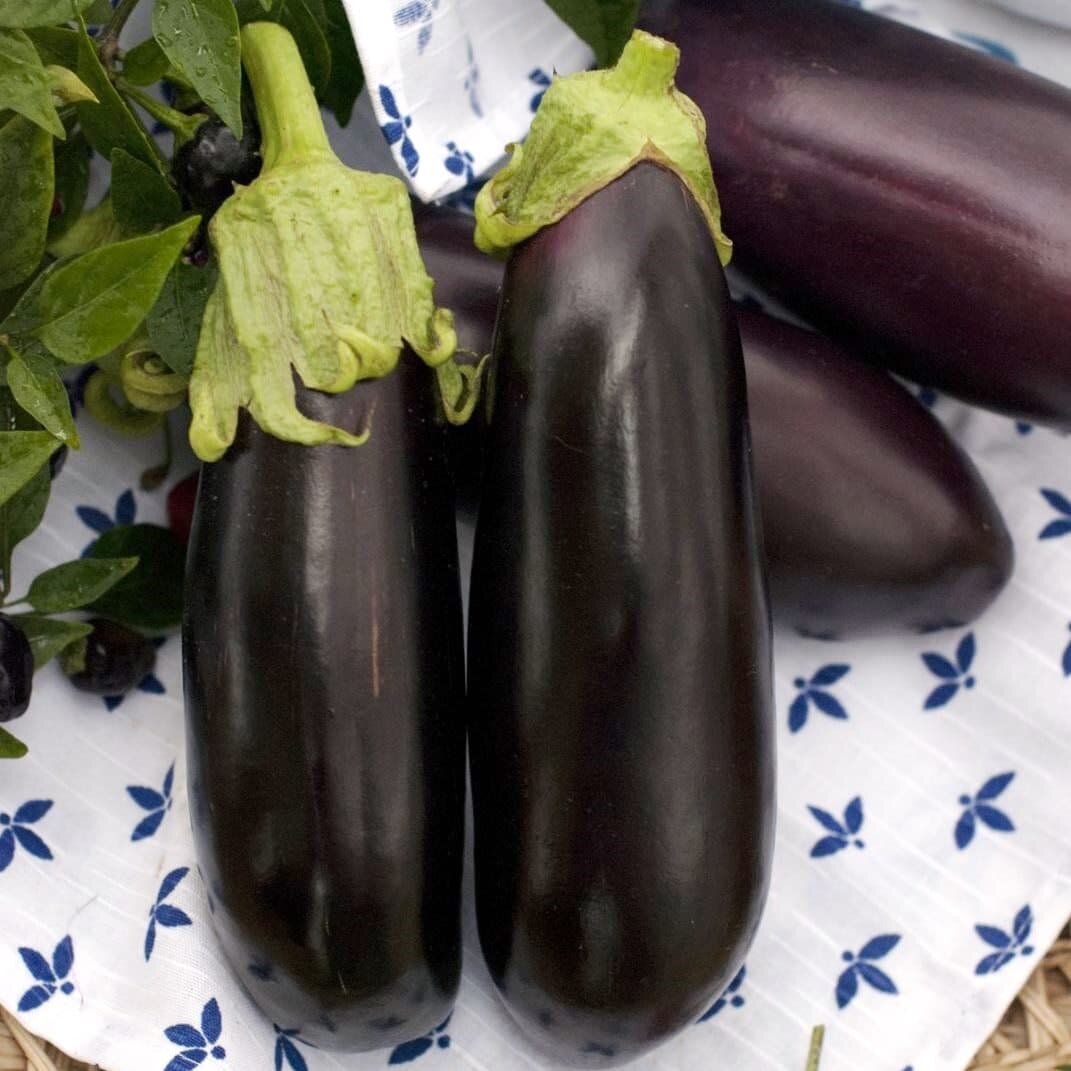 Баклажан Чёрный опал(А) (ЦВ) 0,25гр. (0,25 гр), Гавриш, Россия