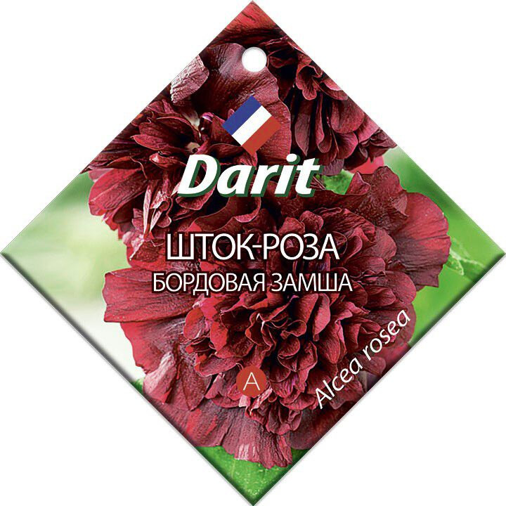 Darit шток роза Бордовая замша 0,1г мальва