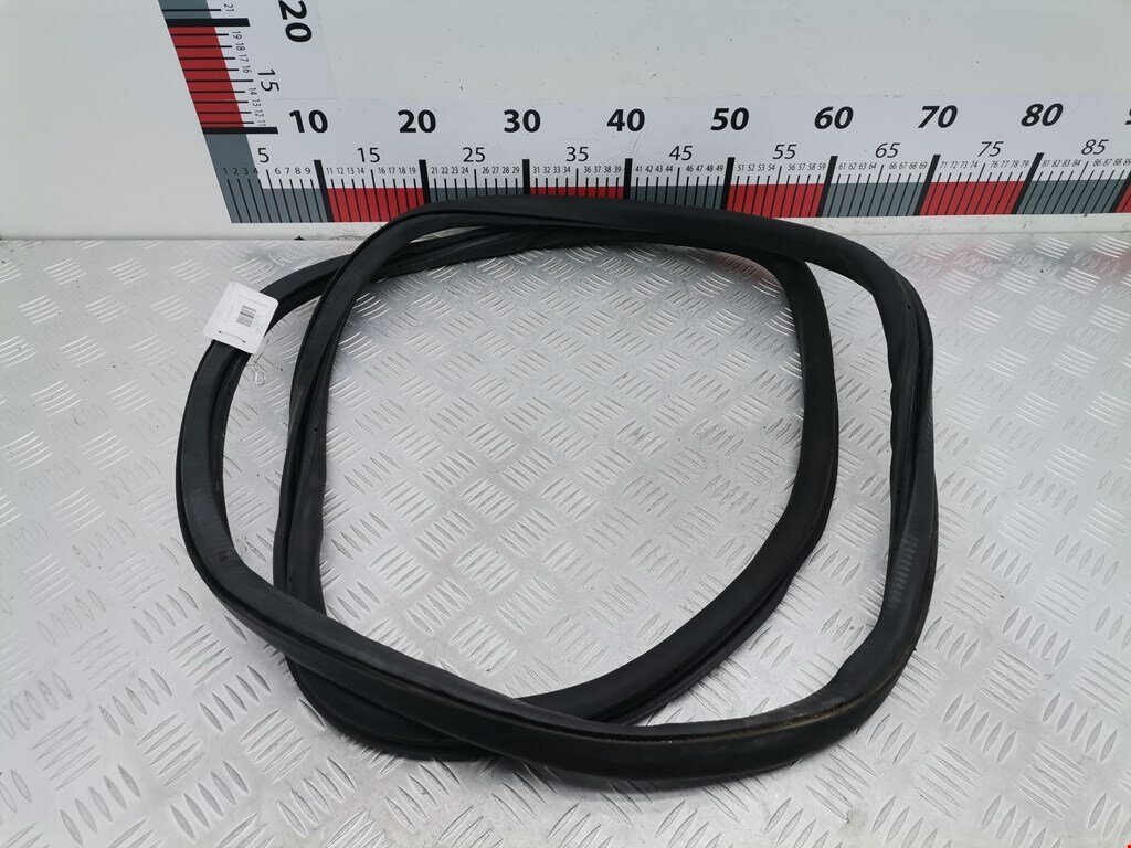 Уплотнитель двери Volkswagen Tiguan 1 5N0867913 арт. 1931712