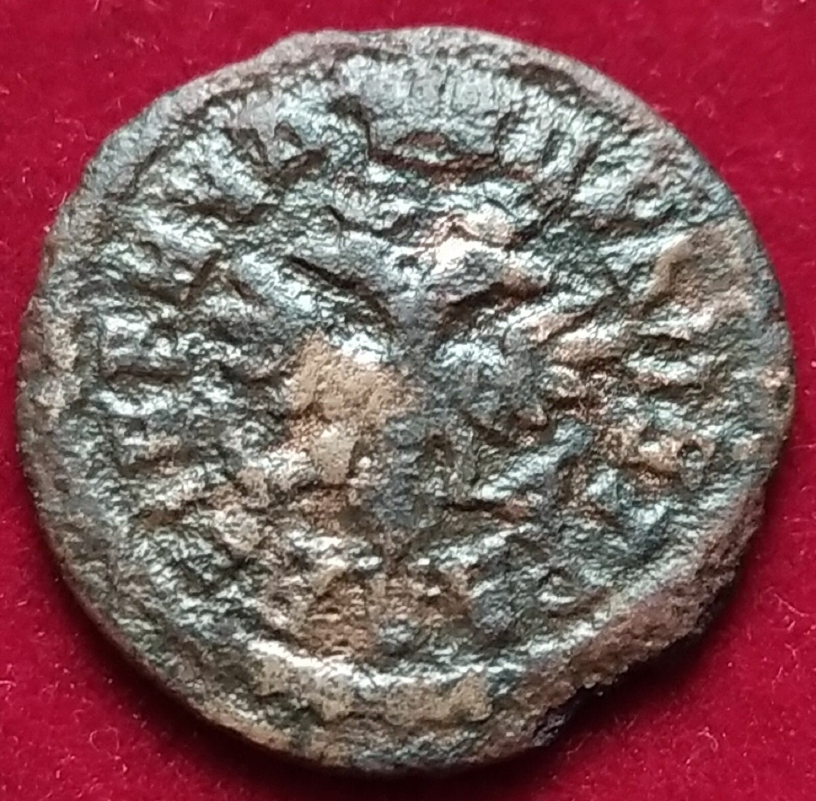 Полушка Петровская