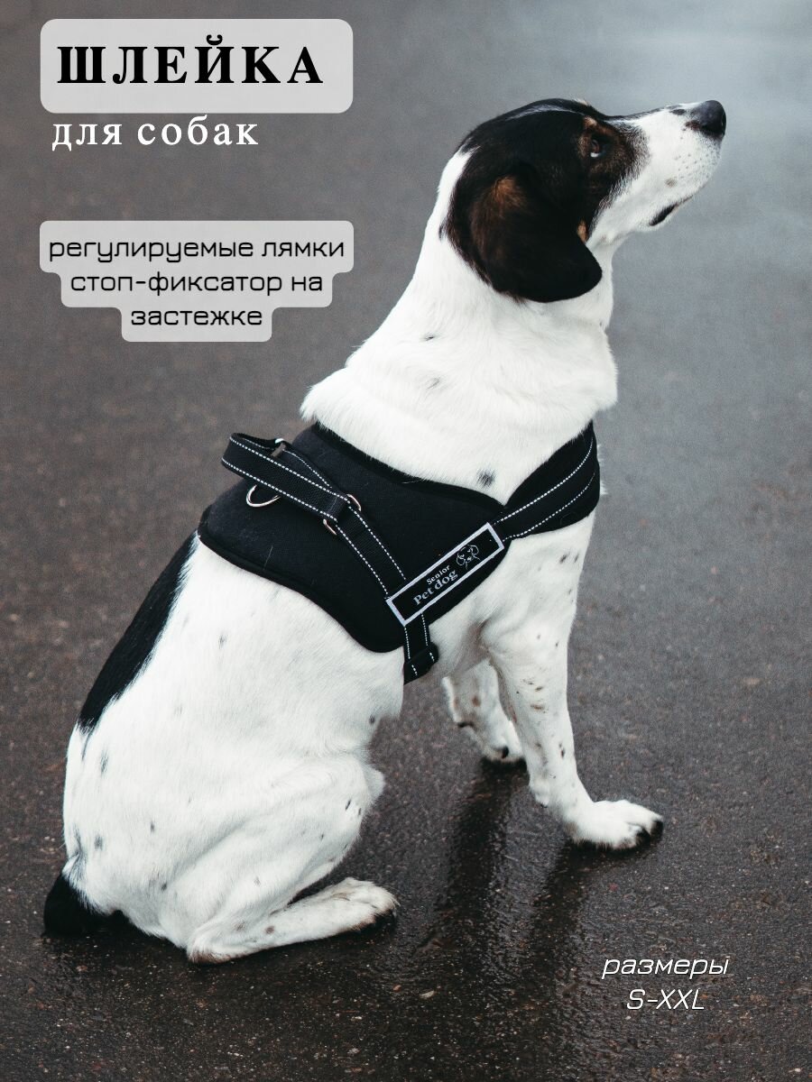 Шлейка для собак анатомическая, размер XXL, для крупных, средних и мелких пород средних и мелких пород