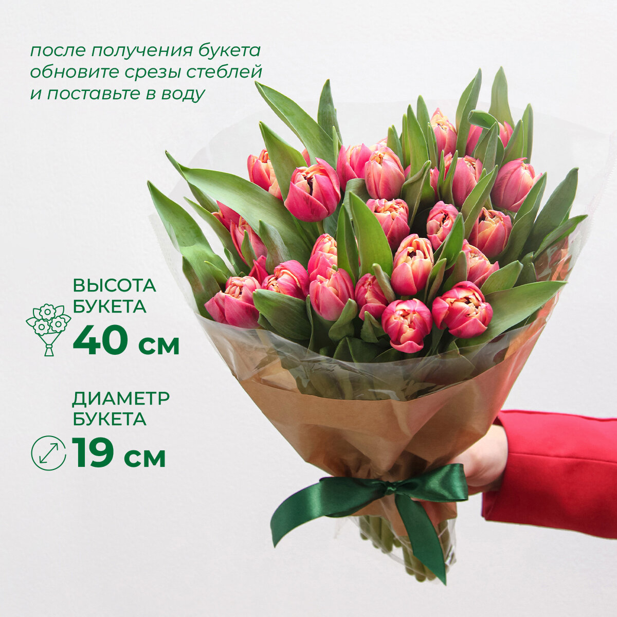 Букет цветов из Тюльпанов Колумбус пионовидные 25 шт цвет розовый