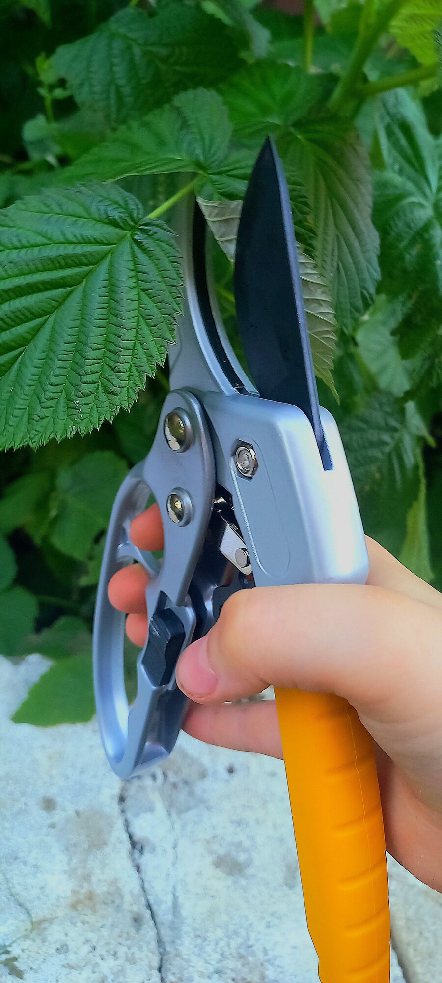 Секатор Best контактный , острые лезвия, цвет желтый+металик