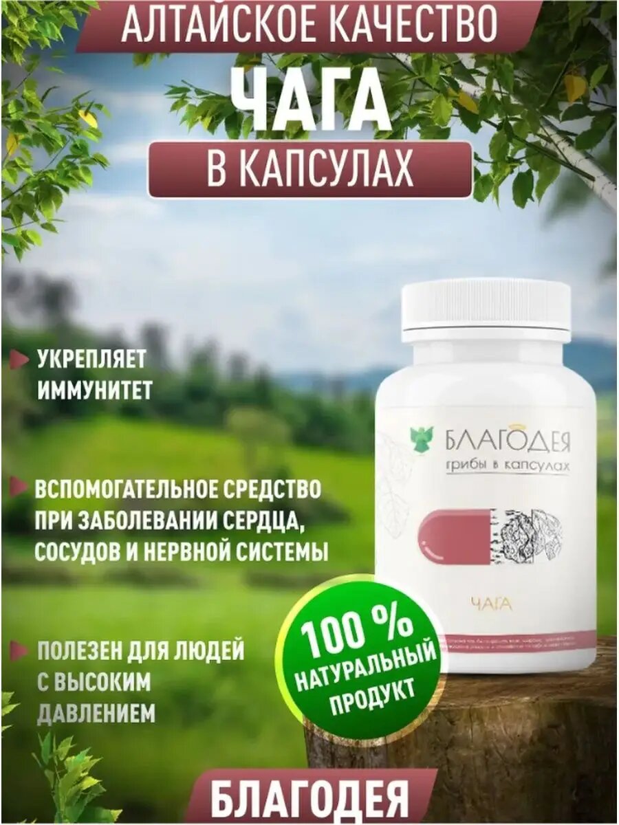 Чага в капсулах Благодея-Алтай для поддержания водно-солевого баланса, 60 шт