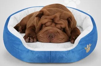 Будка для собак