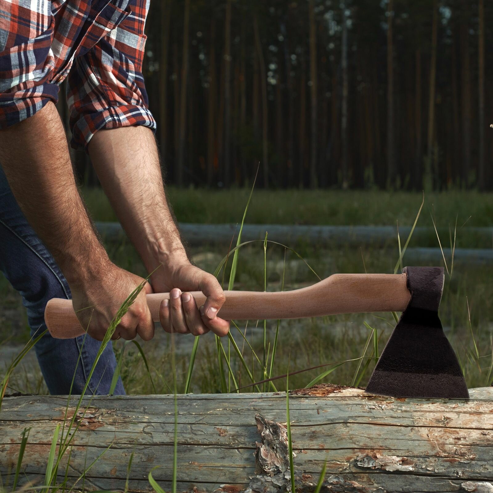 Топор кованный, в сборе, 890/1200 г, деревянное топорище, 500 мм, АО, , 21663