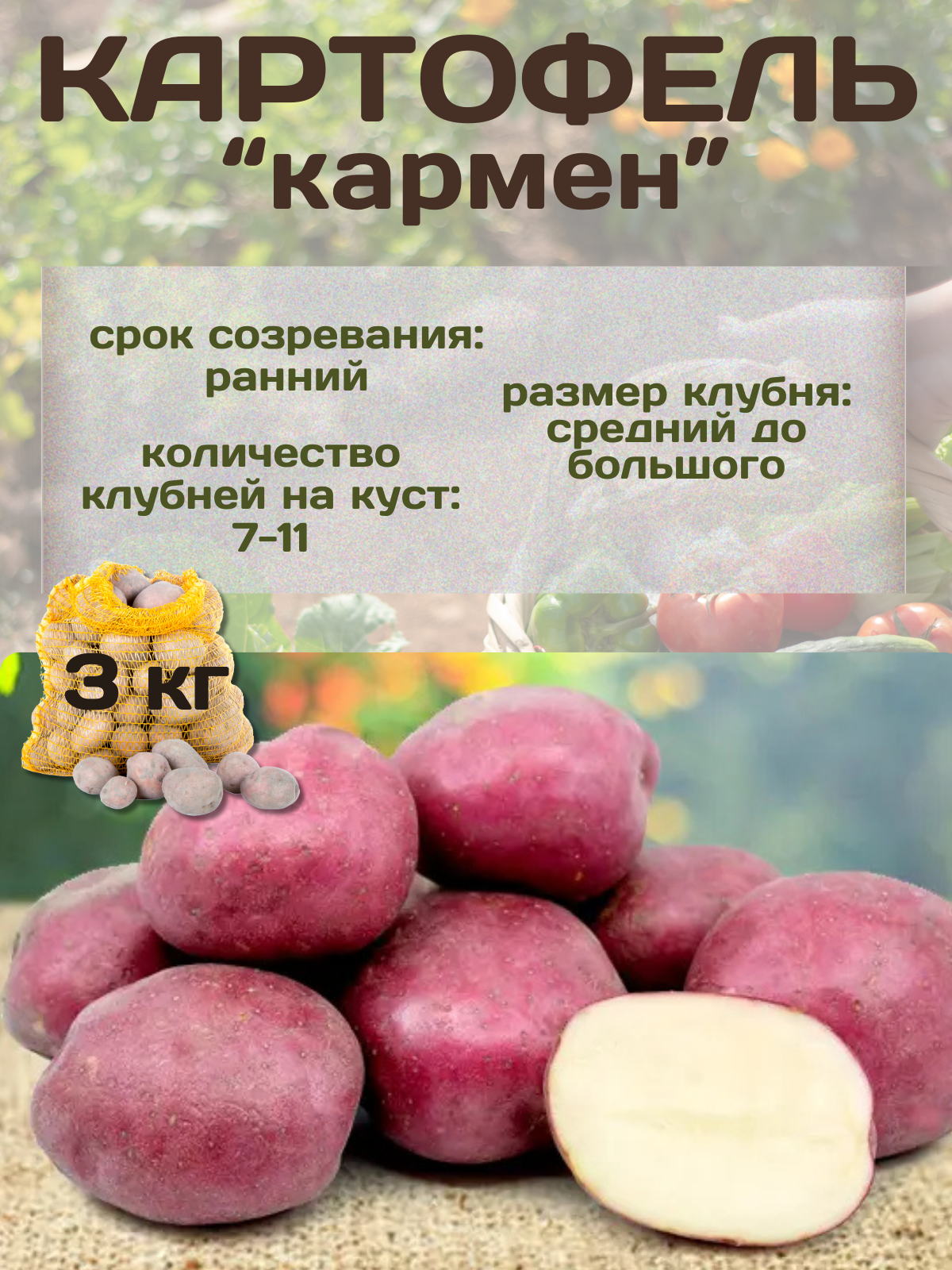 Картофель семенной Кармен 3 кг, на посадку