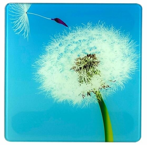 Весы напольные электронные Одуванчик