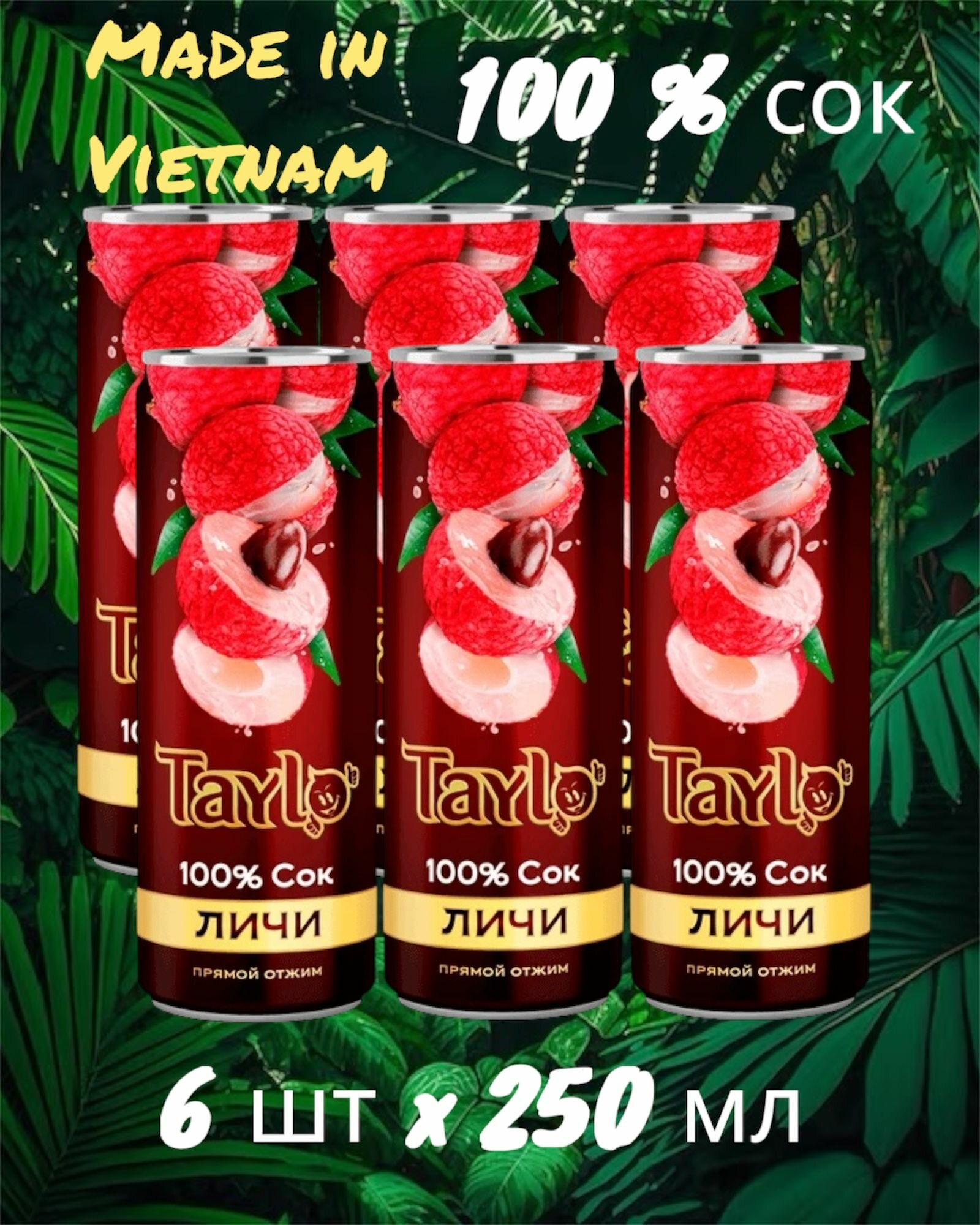Сок личи 100% прямого отжима TAYLO Тайло, 6 шт по 250 мл, Вьетнам