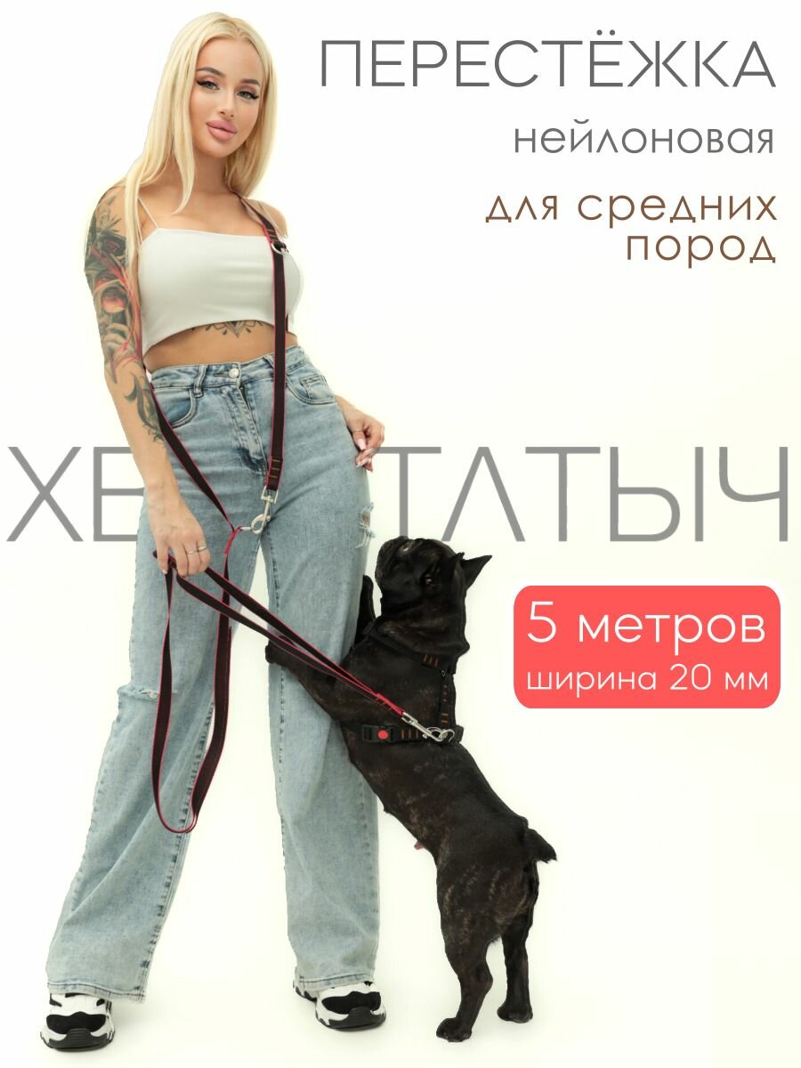 Перестежка Хвостатыч для собак PRO прошитая нейлон 5 м х 20 мм (черно-красный)