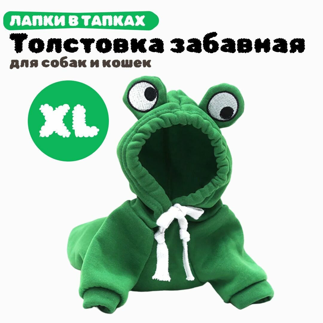 Одежда для животных