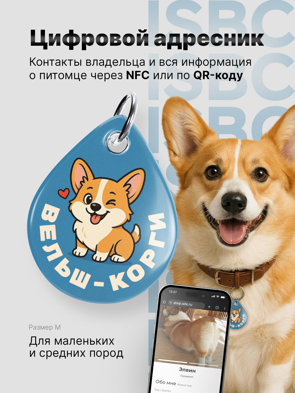 Цифровой Адресник для собак от ISBC с NFC и QR-кодом, Вельш-корги