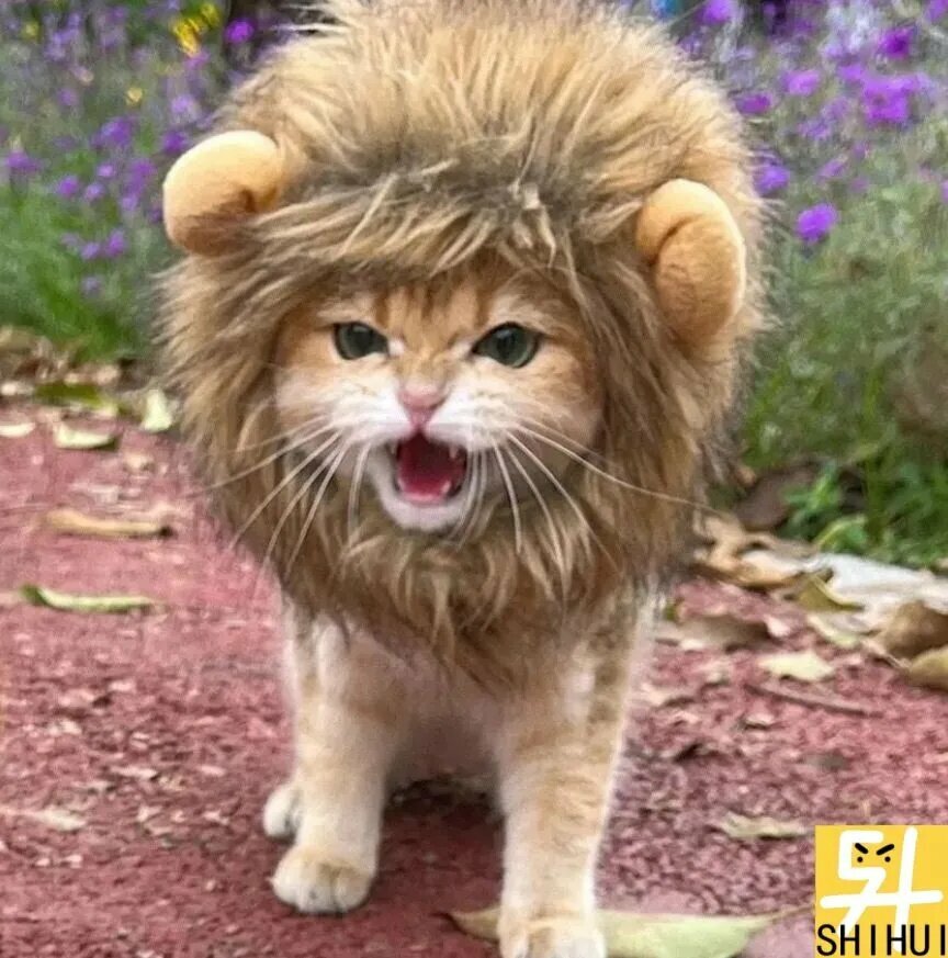 Шапка с гривой льва для кошек и маленьких собак. Размер S.