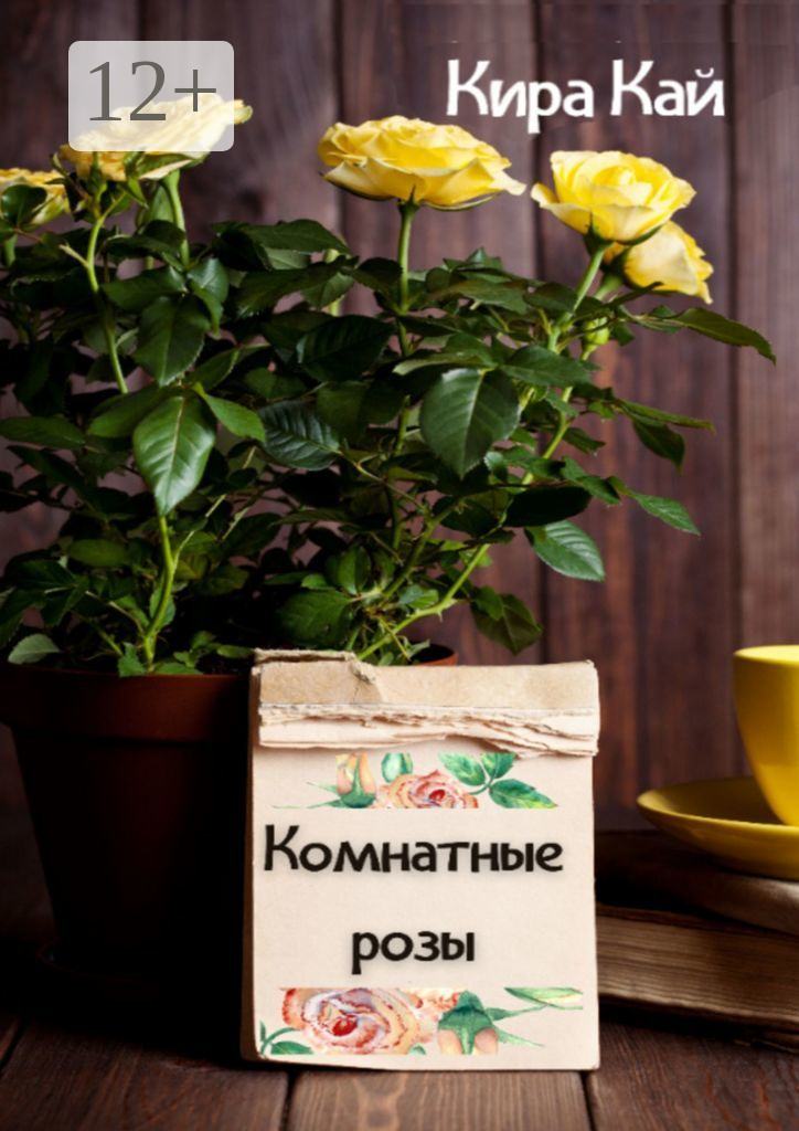 Комнатные розы