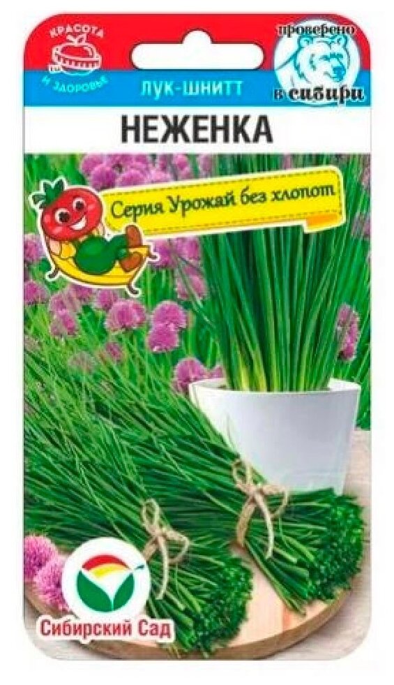 Семена Сибирский Сад Лук Шнитт "Неженка", многолетнее, высота до 40 см, 0,5 г, 2 упаковки