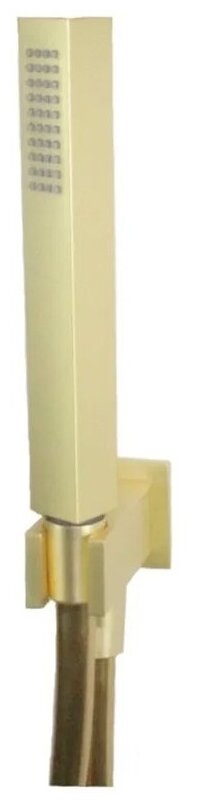 Душевой гарнитур Webert Shower Set AC1045794, матовое золото