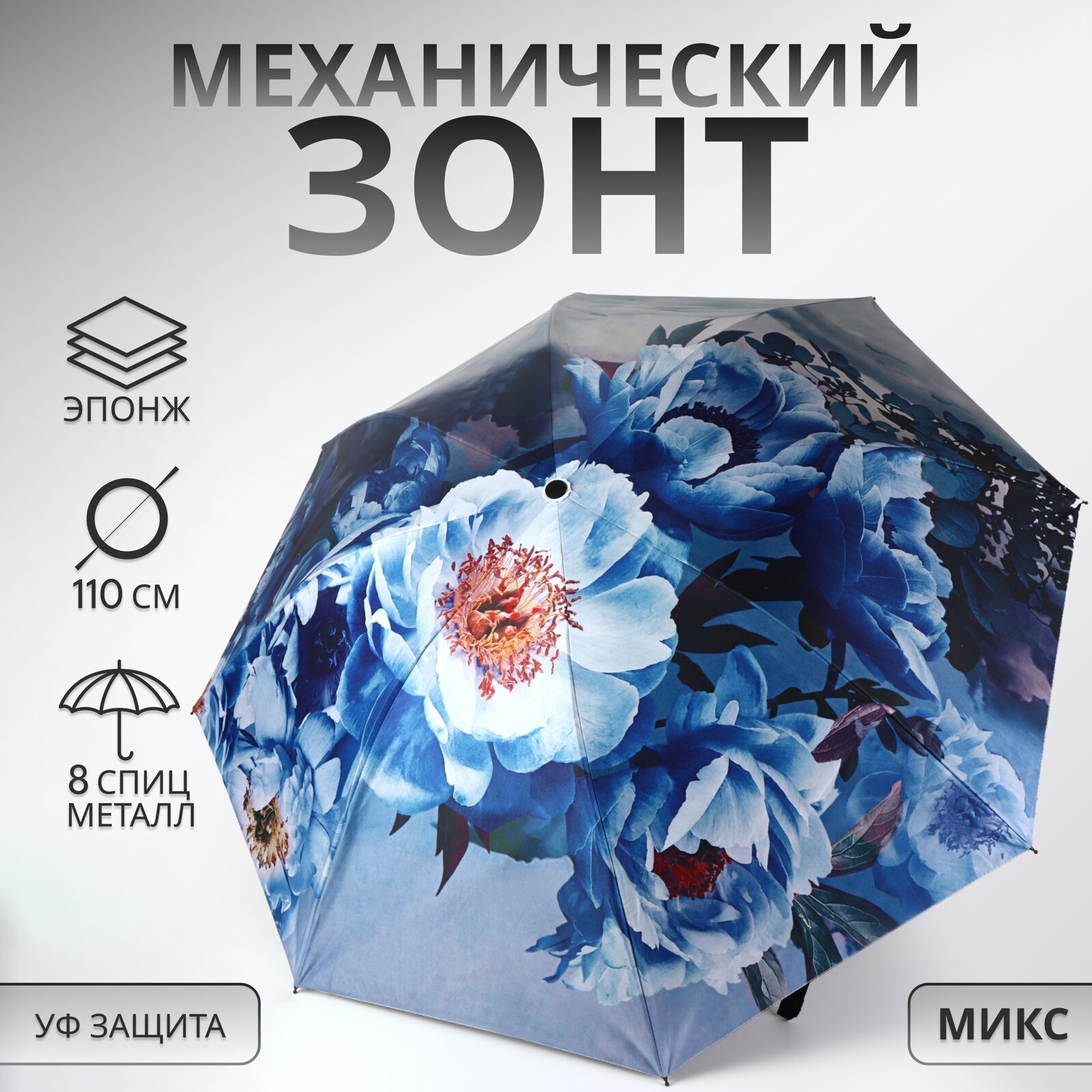 Зонты