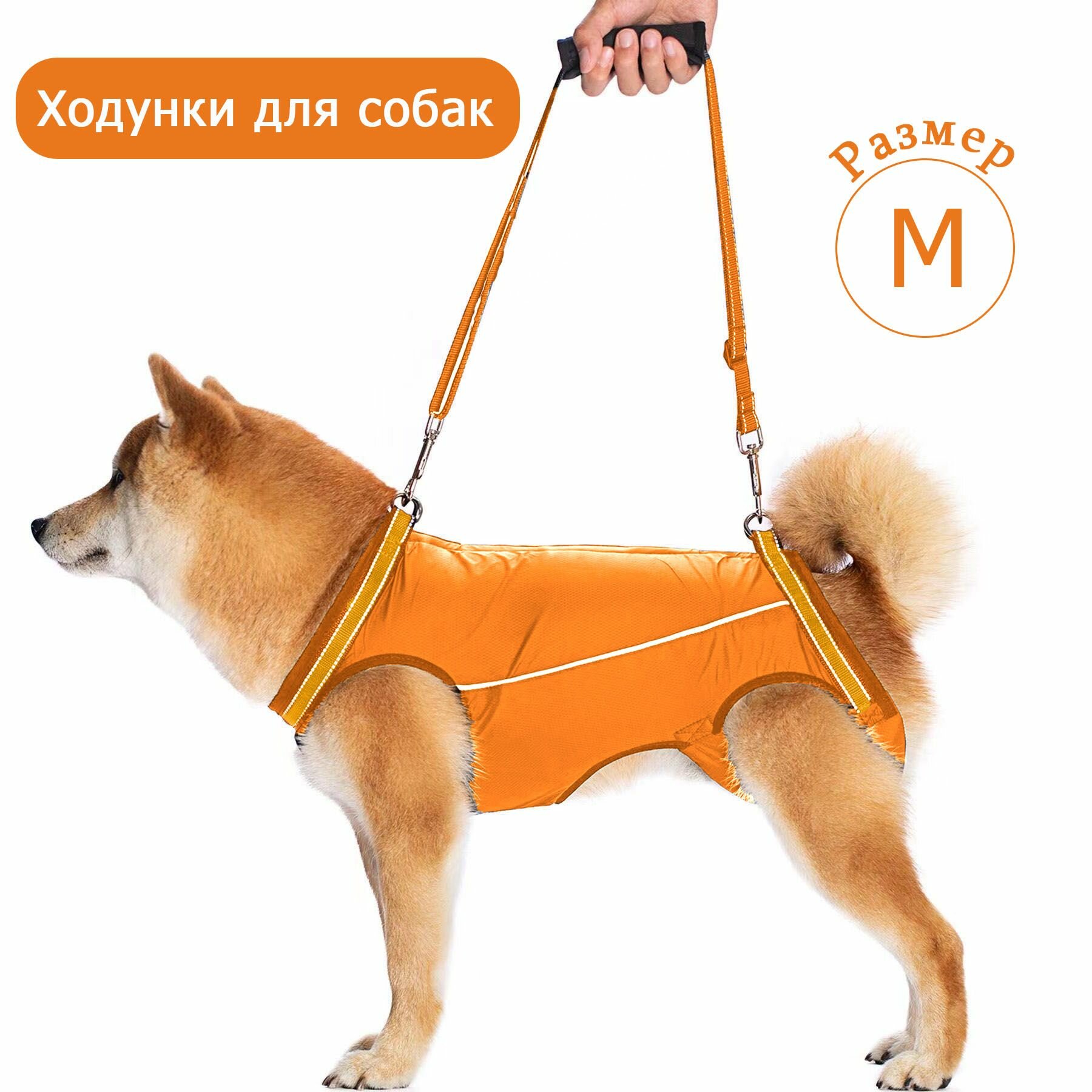 Шлейка ходунки для собак, поддержка задних лап ортопедическая. Размер M.