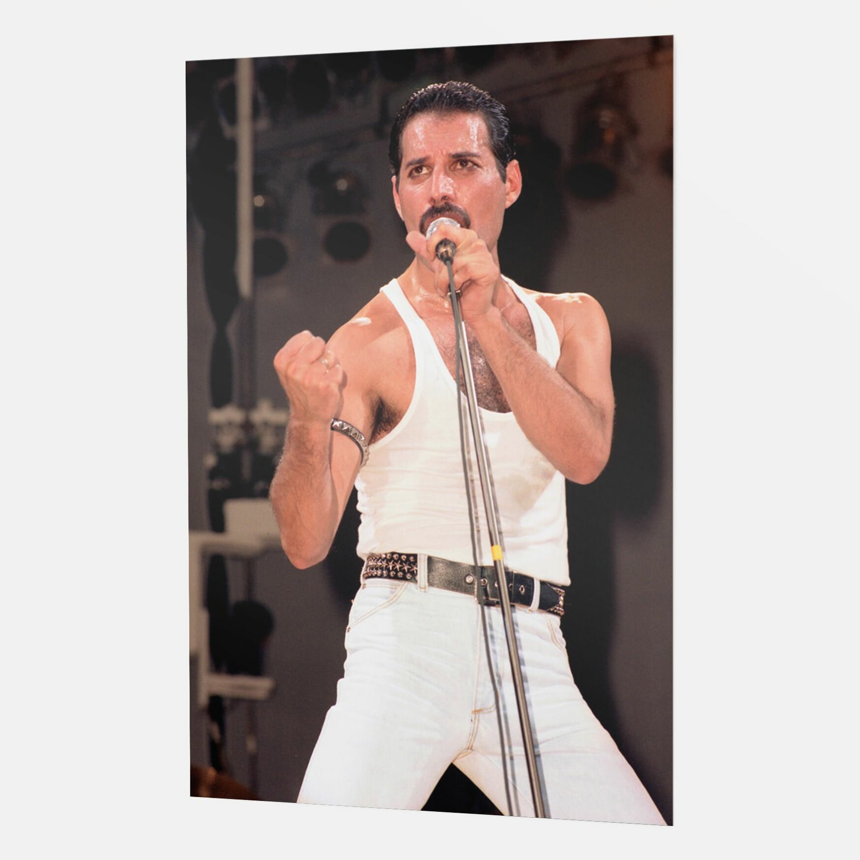 Постер (плакат) Фредди Меркьюри Queen 60x90 см. от Poster4me