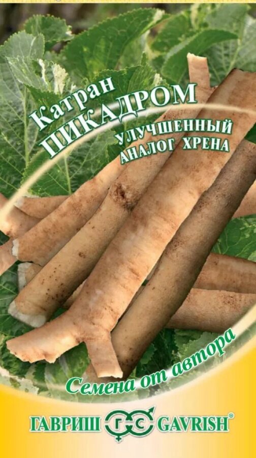 Семена Гавриш "Катран", сорт Пикадром, двухлетний жизненный цикл