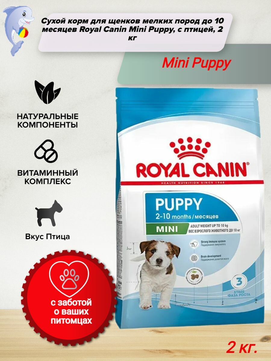 Royal Canin (Роял Канин) Mini Puppy Корм сухой для щенков мелких пород в возрасте до 10 месяцев, 2 кг