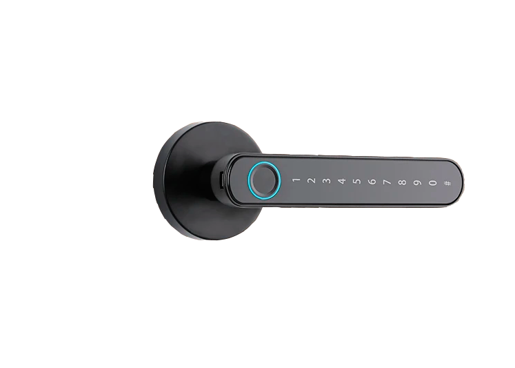 Биометрическая дверная ручка XTD K049B, алюминий, черная, с фиксатором