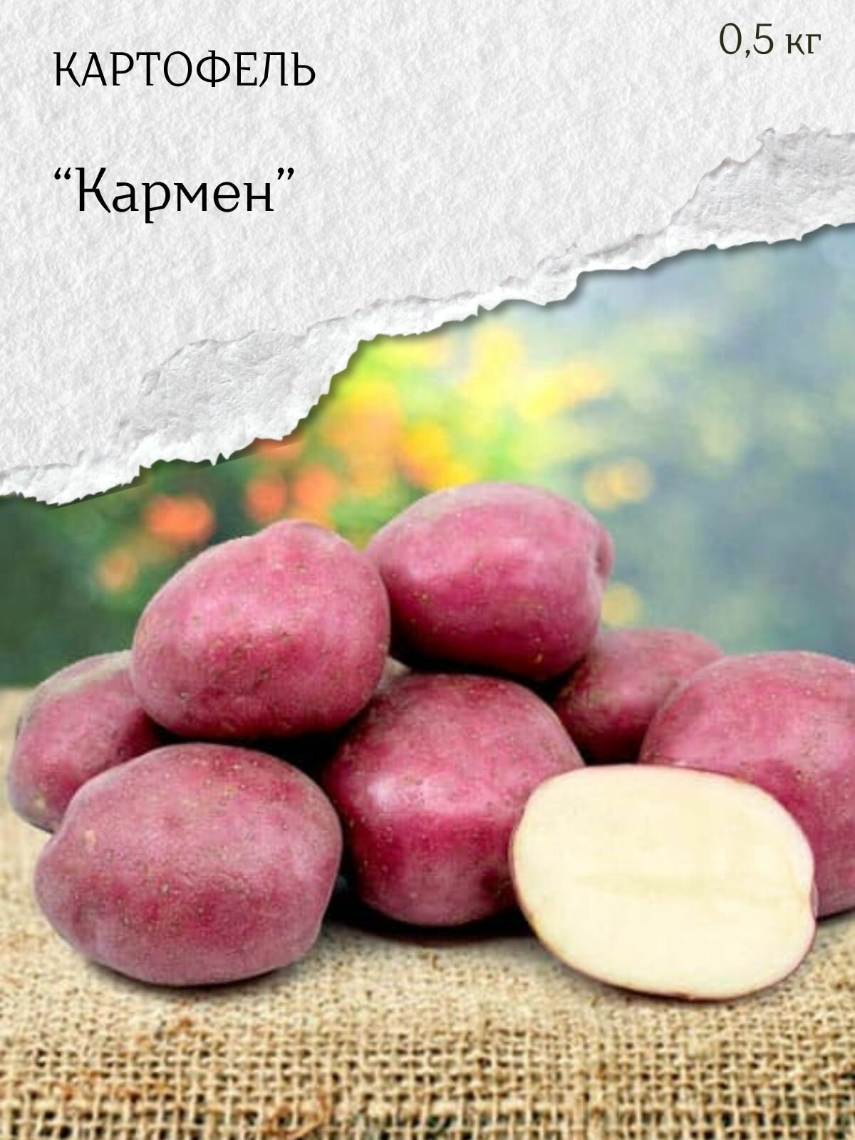 Картофель семенной красный Кармен клубни на посадку 500 гр.