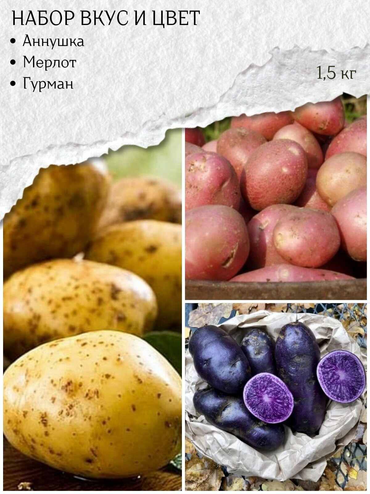 Набор картофеля из 3х сортов "Вкус и цвет" (белый, красный, фиолетовый)