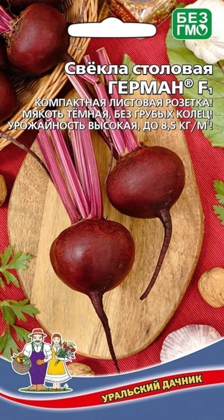 Семена свеклы «Герман® F1»: среднеранние, тёмно-бордовые, урожайность до 8,5 кг/м²