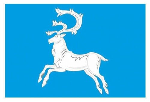 Флаг города Вилюйск 70х105 см