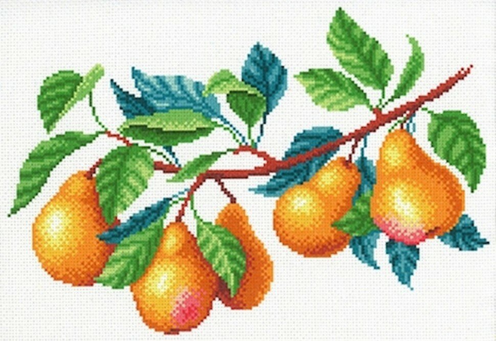 Канва с рисунком для вышивания М. П. Студия СК-100 Груша, 30 x 20 см (Нитки в в комплект не входят.)
