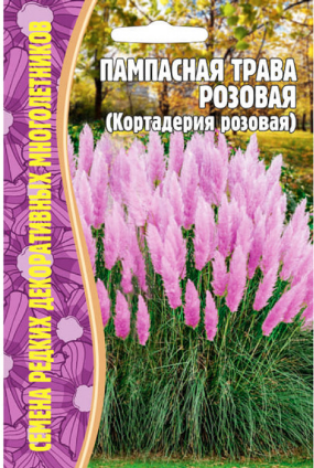 Пампасная трава Розовая 0,01 г редкие семена (2шт в заказе)