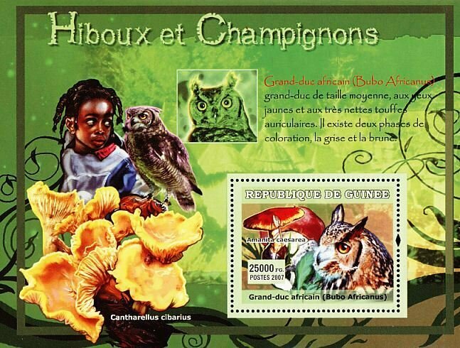 Почтовые марки Гвинея 2007г. "Совы и грибы" Совы, Грибы, Птицы MNH