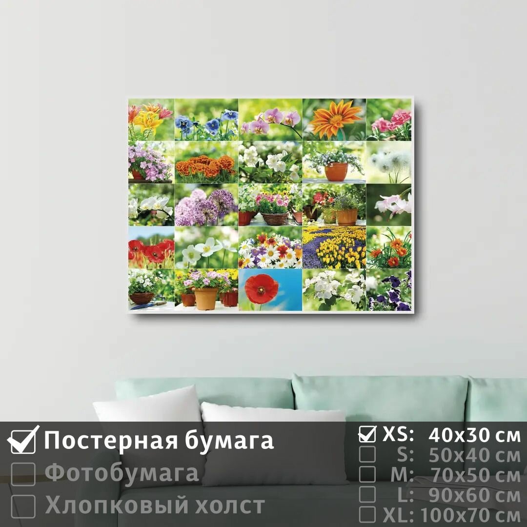 Постер на стену Коллаж Из Красивых Цветов 40х30 см ПолиЦентр