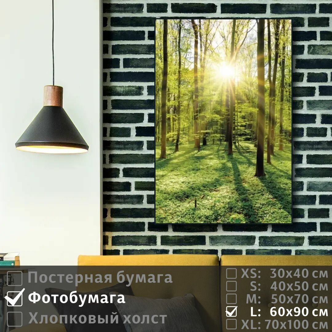 Постер на фотобумаге Лучи Утреннего Солнца В Весеннем Лесу 60х90 см ПолиЦентр