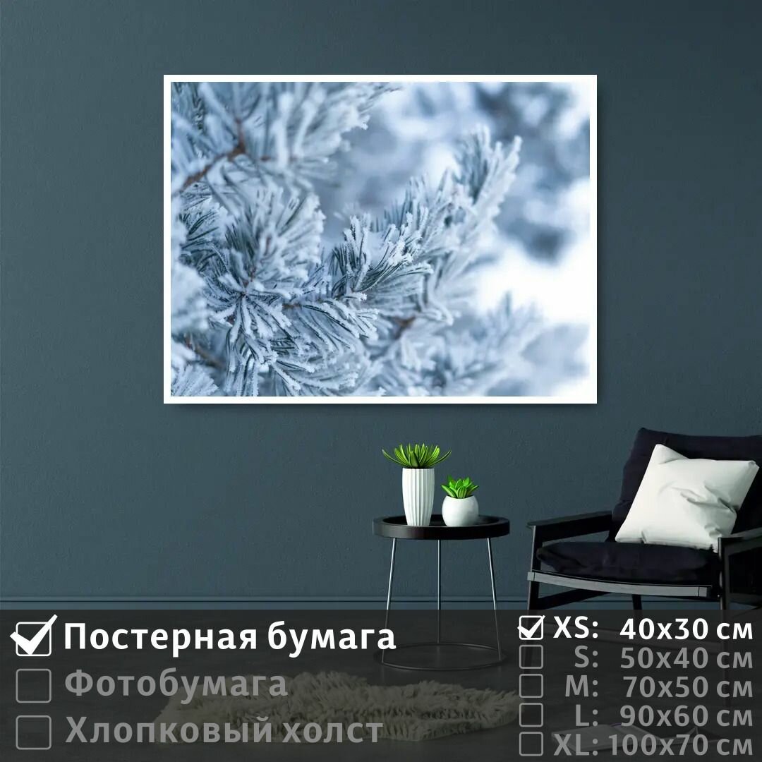 Постер на стену Ветка Сосны В Зимнем Лесу 40х30 см ПолиЦентр