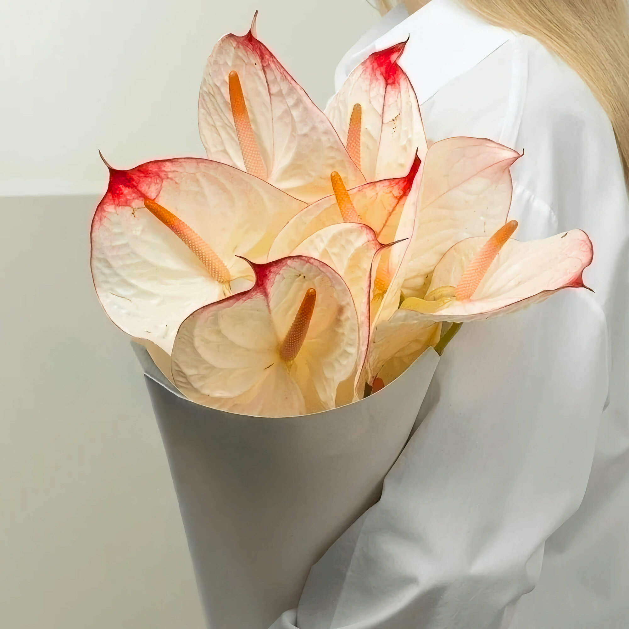 Букет из белых антуриумов (5 стеблей)