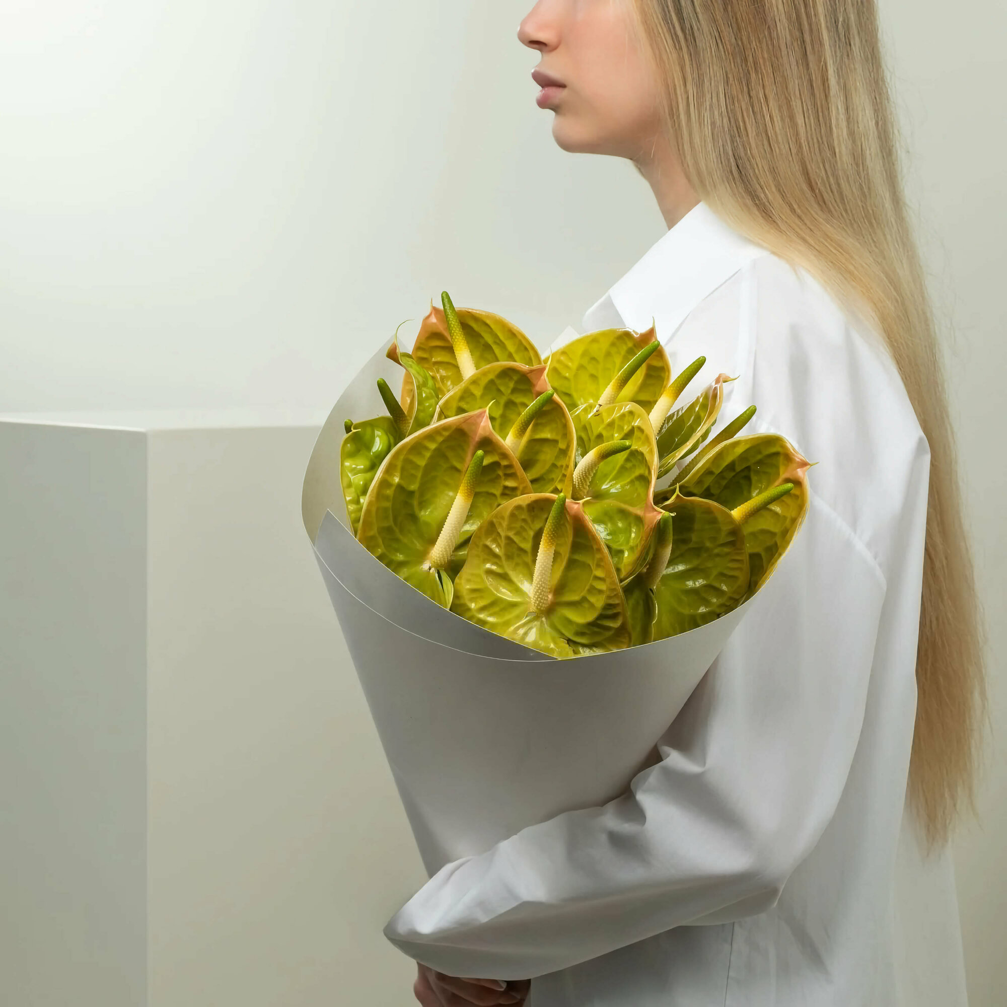 Букет из оливковых антуриумов (5 стеблей)