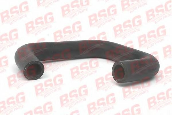 Шланг водян. выпускн. CONNECT 02- BSG BSG 30-720-048 BSG AUTO PARTS арт. BSG 30-720-048