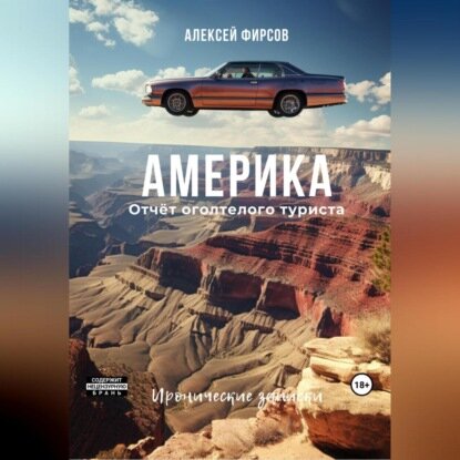 Америка. Отчет оголтелого туриста. Иронические записки [Аудиокнига]